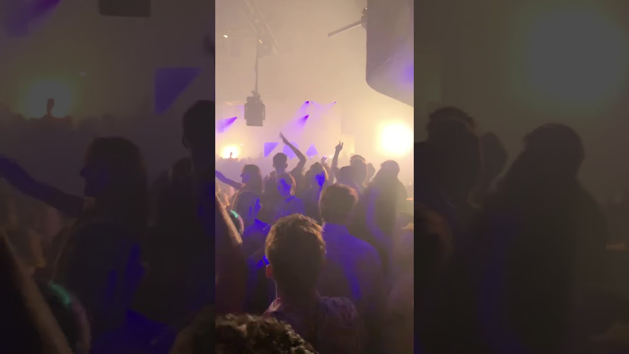 Reinier Zonneveld Live Rave Dan - YouTube