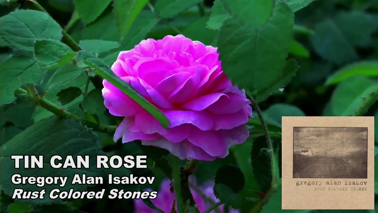 Gregory Alan Isakov - Rust Colored Stones - 10 Tin Can Rose - YouTube