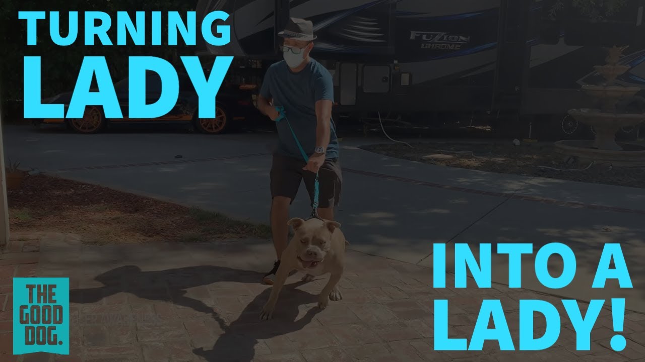 Turning Lady into a lady! - YouTube