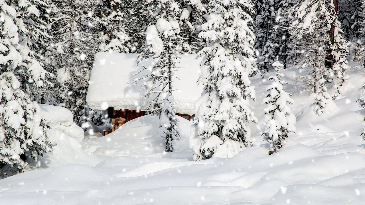 DIA DE NEVE NOS EUA 🇺🇸 | NOSSA PRIMEIRA NEVE INVERNO 2015 | Bruna ...