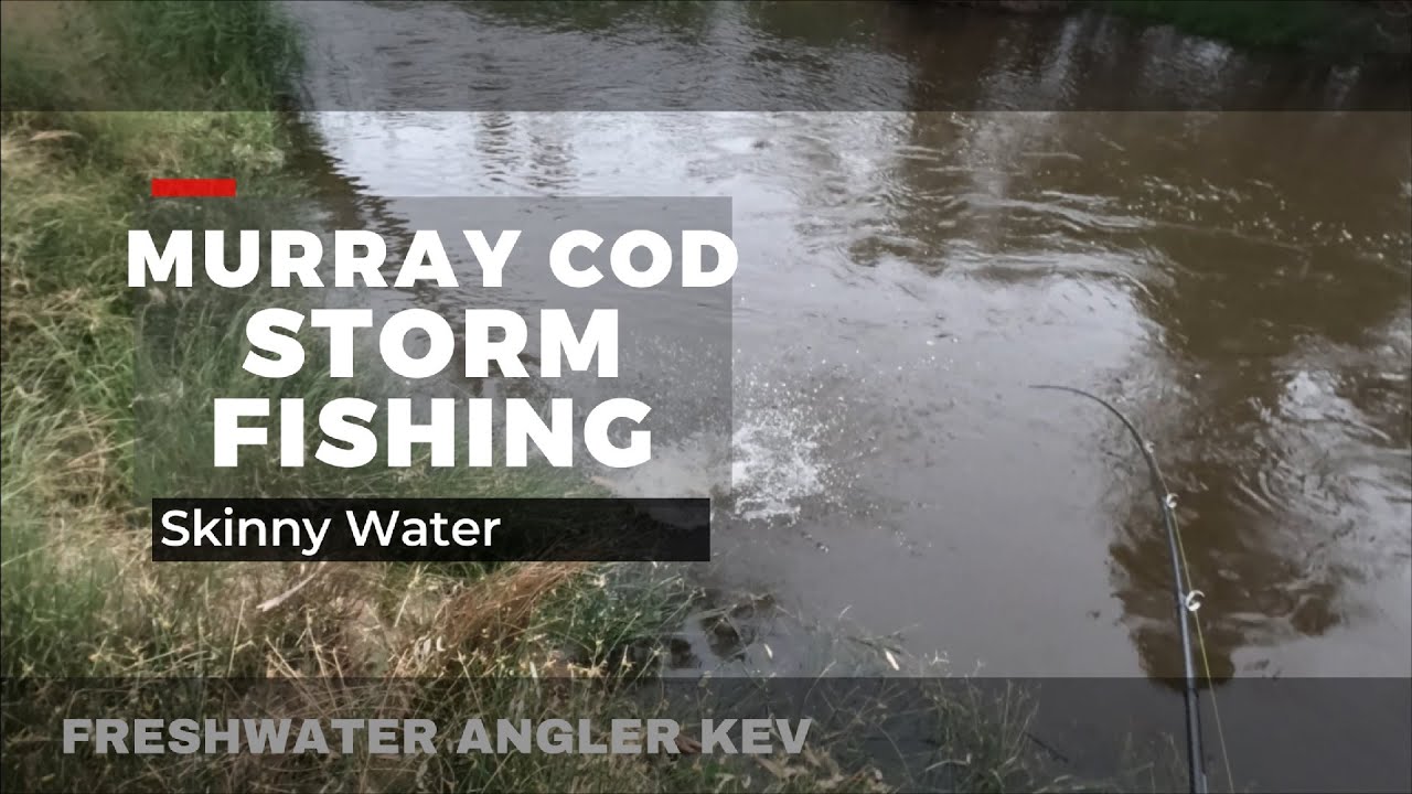 Chasing Murray Cod before the Storm - YouTube