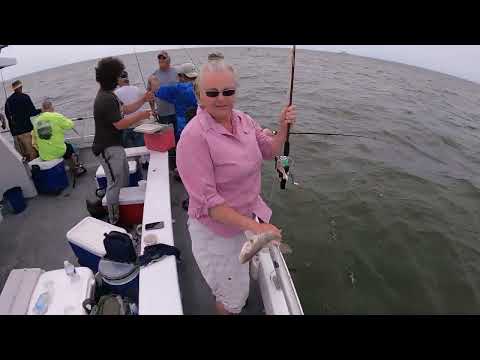 Miss Fortescue 7 20 21 2024 - YouTube