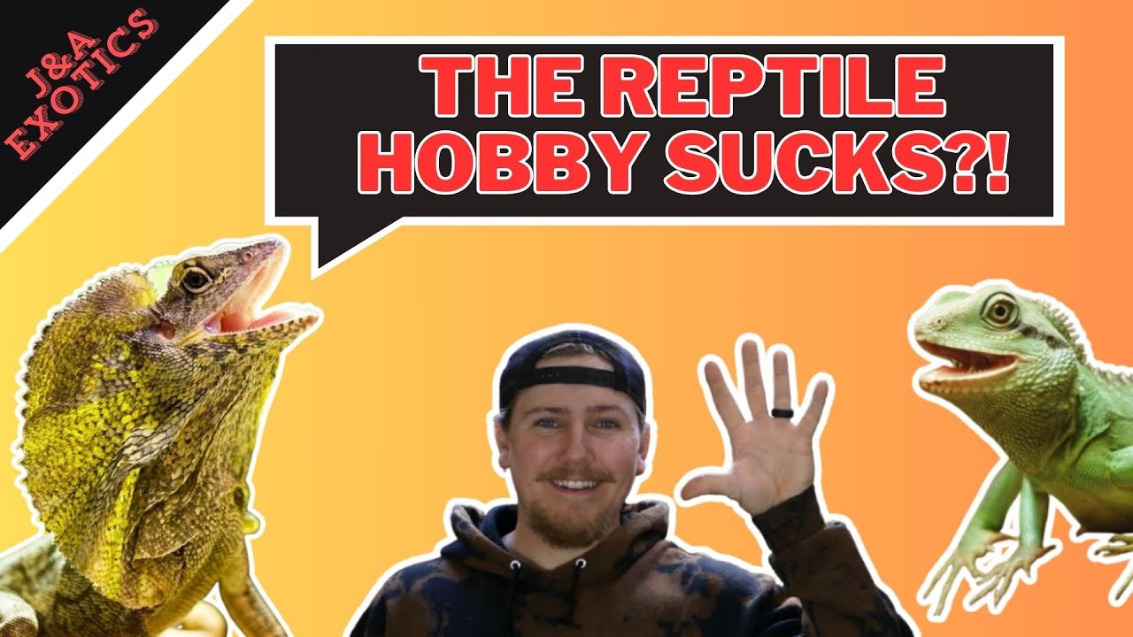 Top 5 Things I Hate About The Reptile Hobby - YouTube