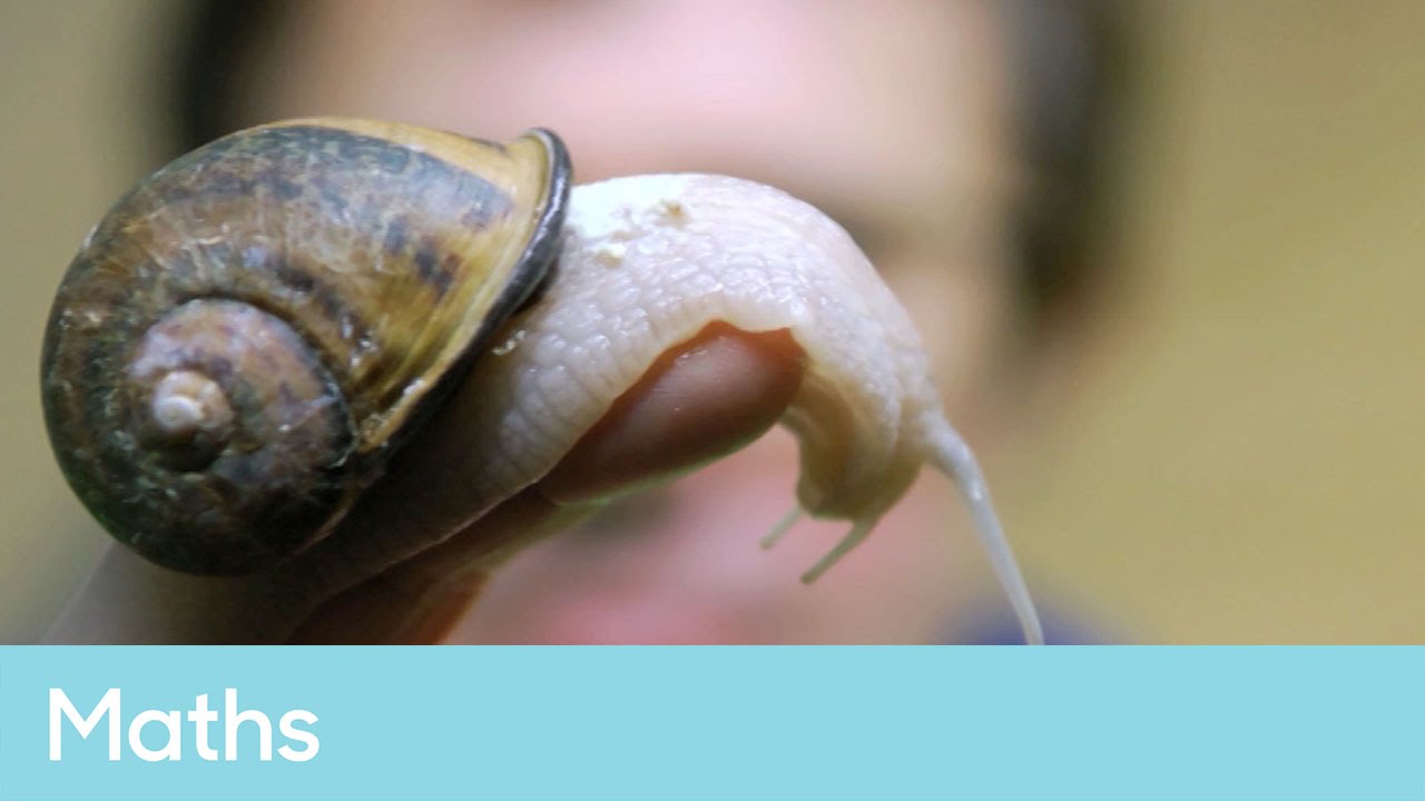 freeplay BBC Primary Maths - DIGITAL THEATRE FOR CHILDREN