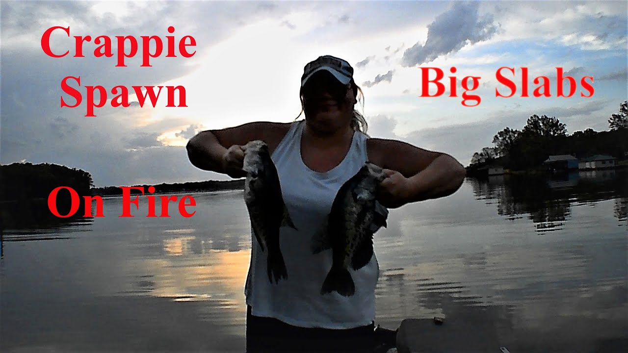 Crappie Spawn On Fire - YouTube