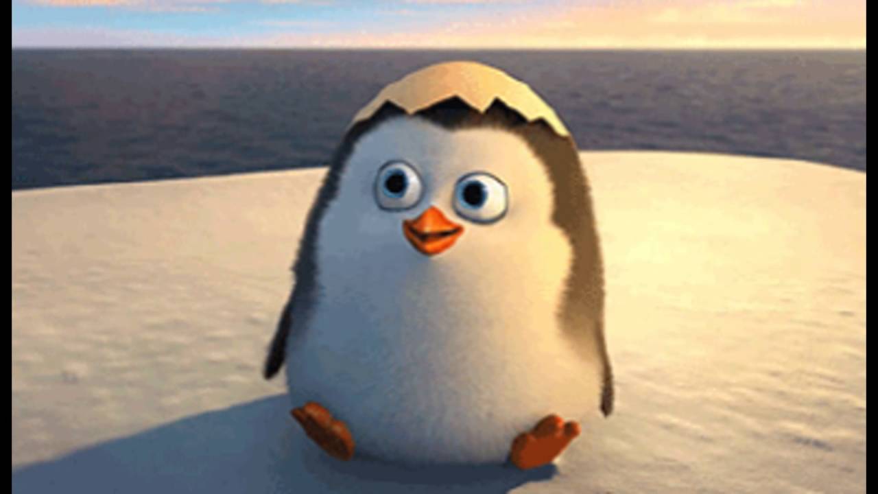 Super Cute Pics - YouTube