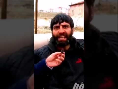 Onu tanıyana kadar kedi bile sevmedim ben