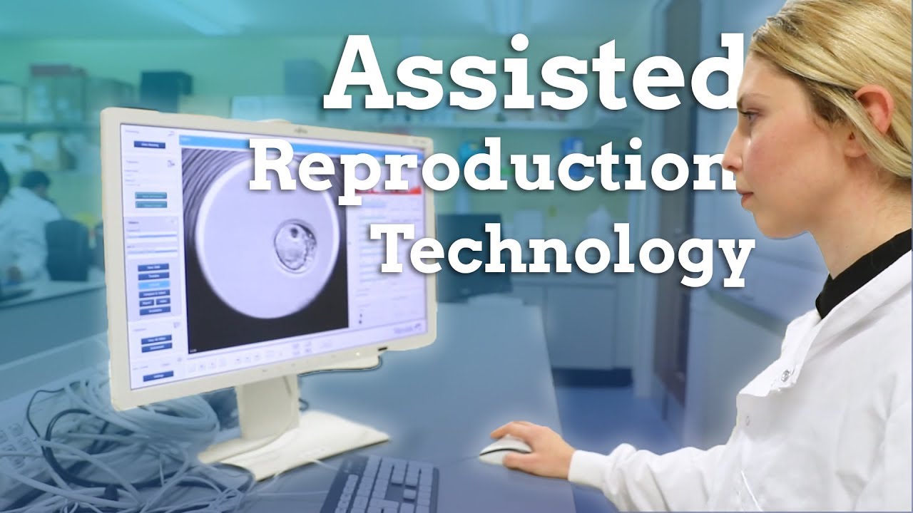 MMedSci Assisted Reproduction Technology - YouTube