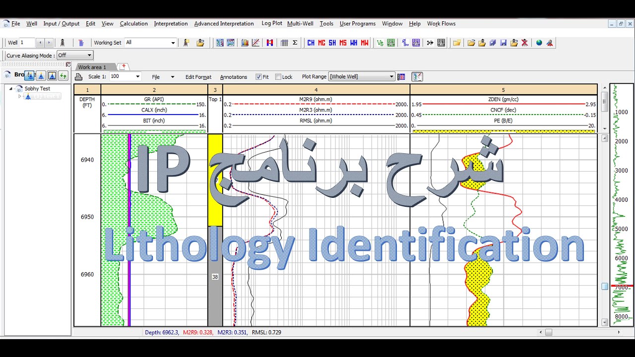 Lithology Identification - (Interactive Petrophysics) IP شرح برنامج - YouTube