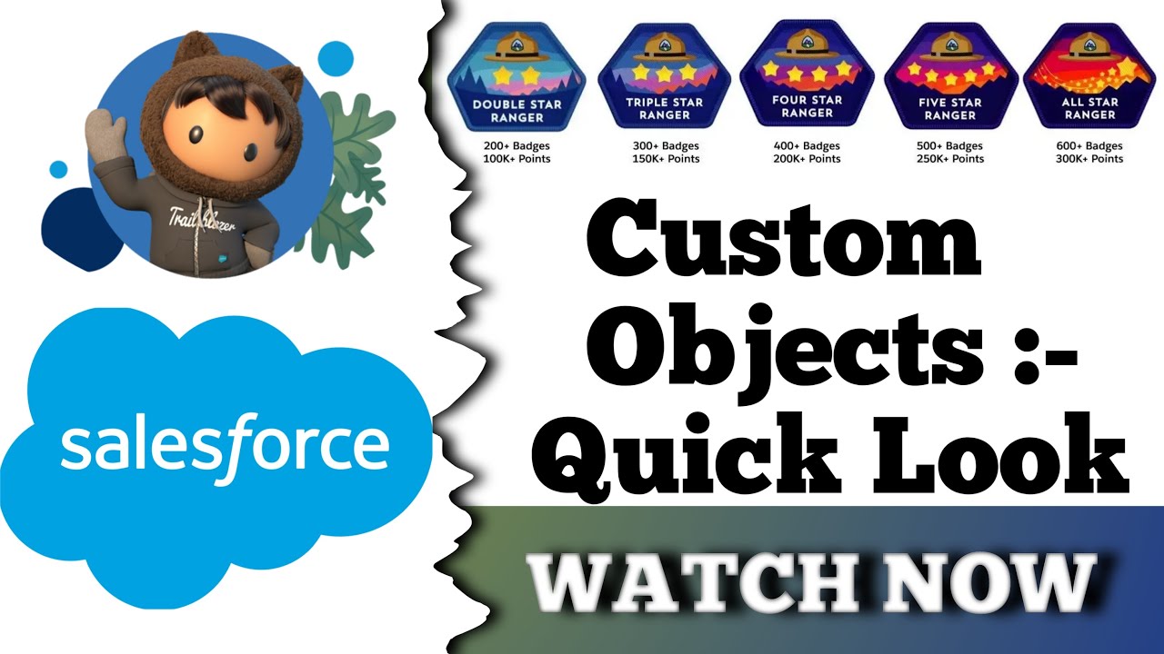 Custom Objects Quick Look Salesforce Trailhead Quiz Solution Youtube