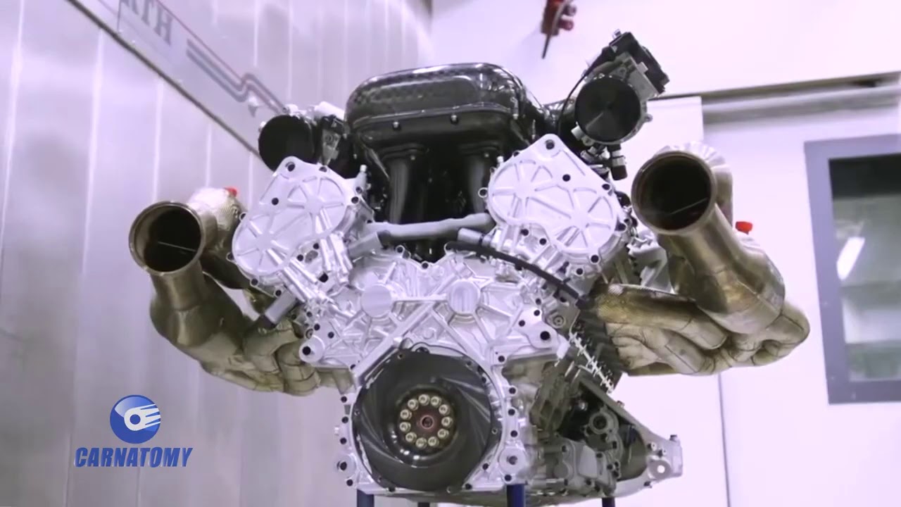 Carnatomy T473 OA 1 07 20 - YouTube