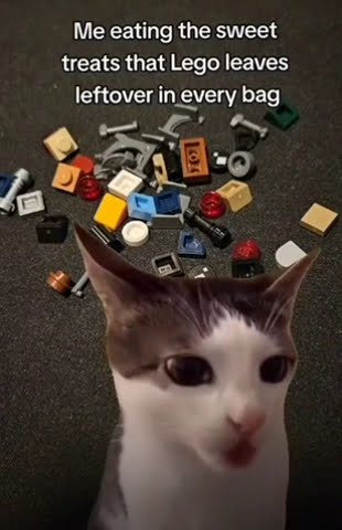Me eating the sweet treats that lego leaves leftover in everybag #meme ...