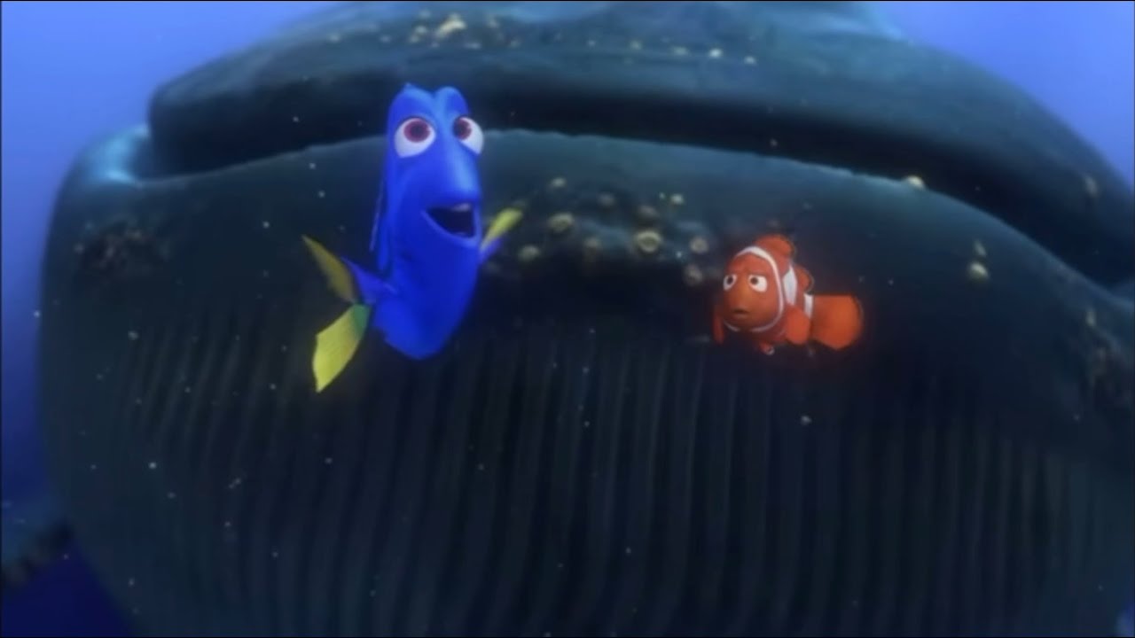The truth behind “Finding Nemo”😱🤯 grim theory! #findingnemo #theory # ...