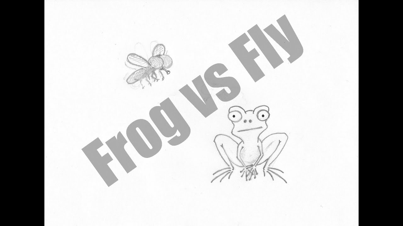 FROG vs. FLY - YouTube
