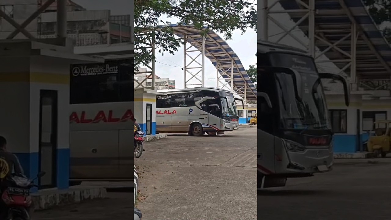 Moments 3 unit bus PALALA konvoi hidupkan Basuri 😁 - YouTube