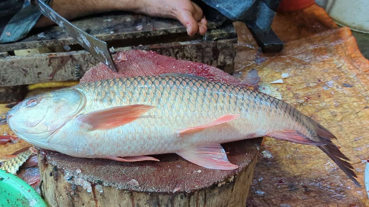 Amazing Big ⚡ Ruhi Fish Super First Cutting By Expert In Bangladesh ...