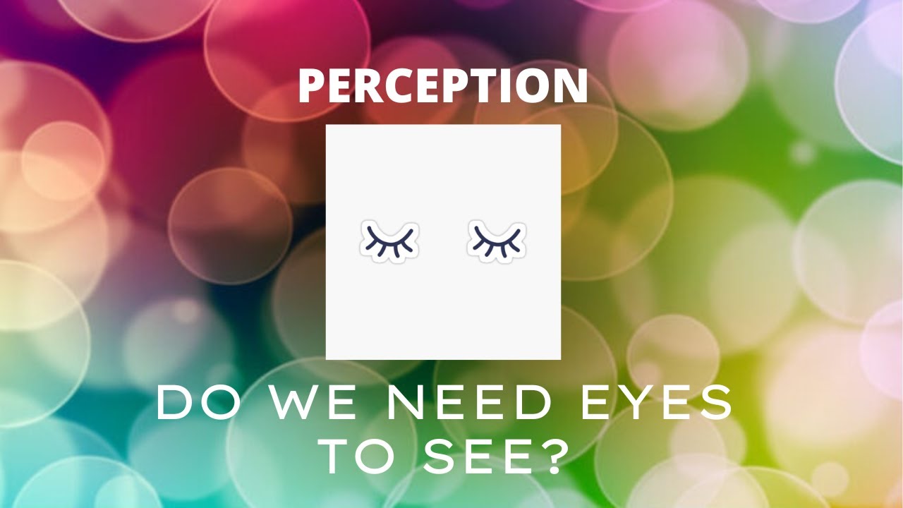 Lesson 2 - Perception - YouTube