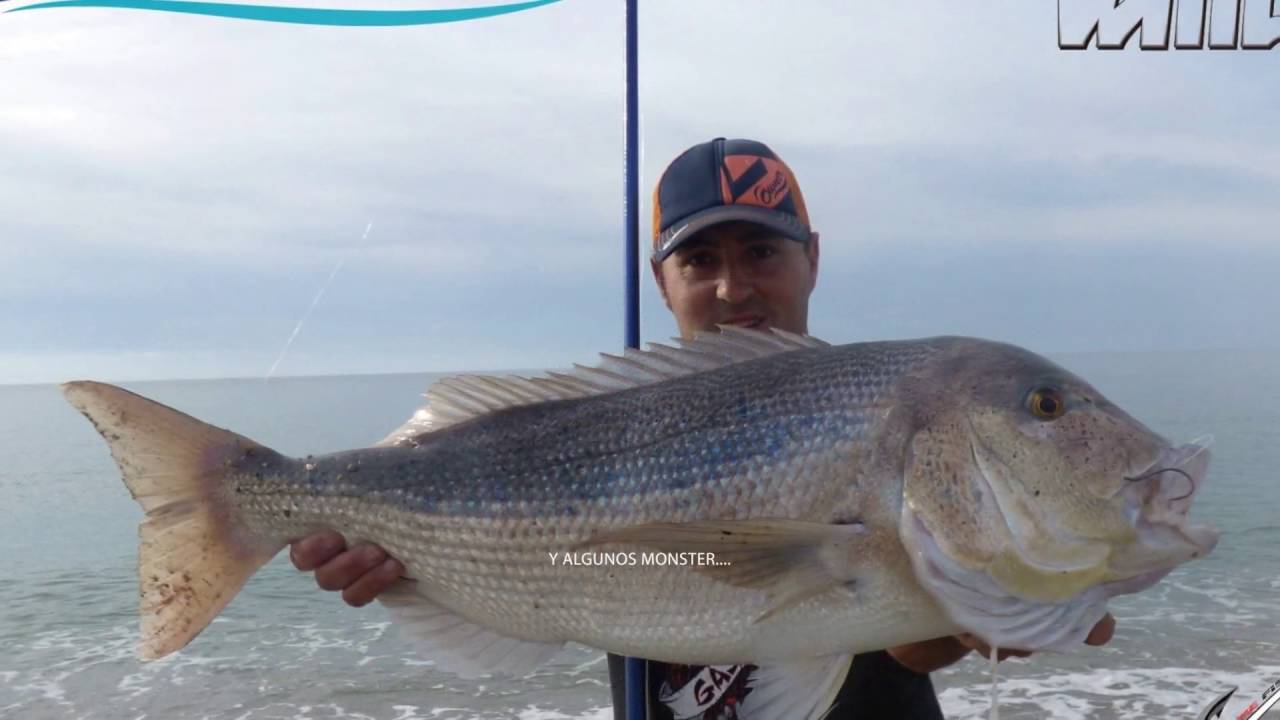 2016 Machado Fishing Movie... y hasta aquí puedo leer.. - YouTube