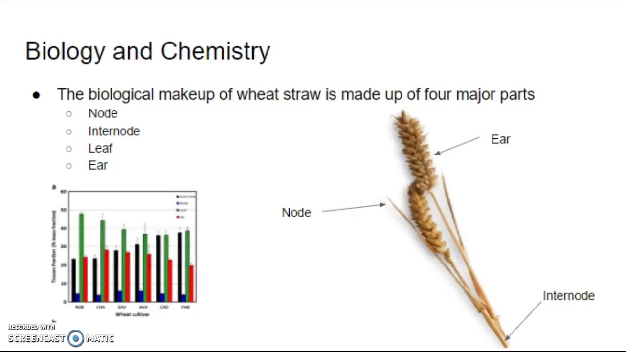 BBE GROUP PROJECT - YouTube