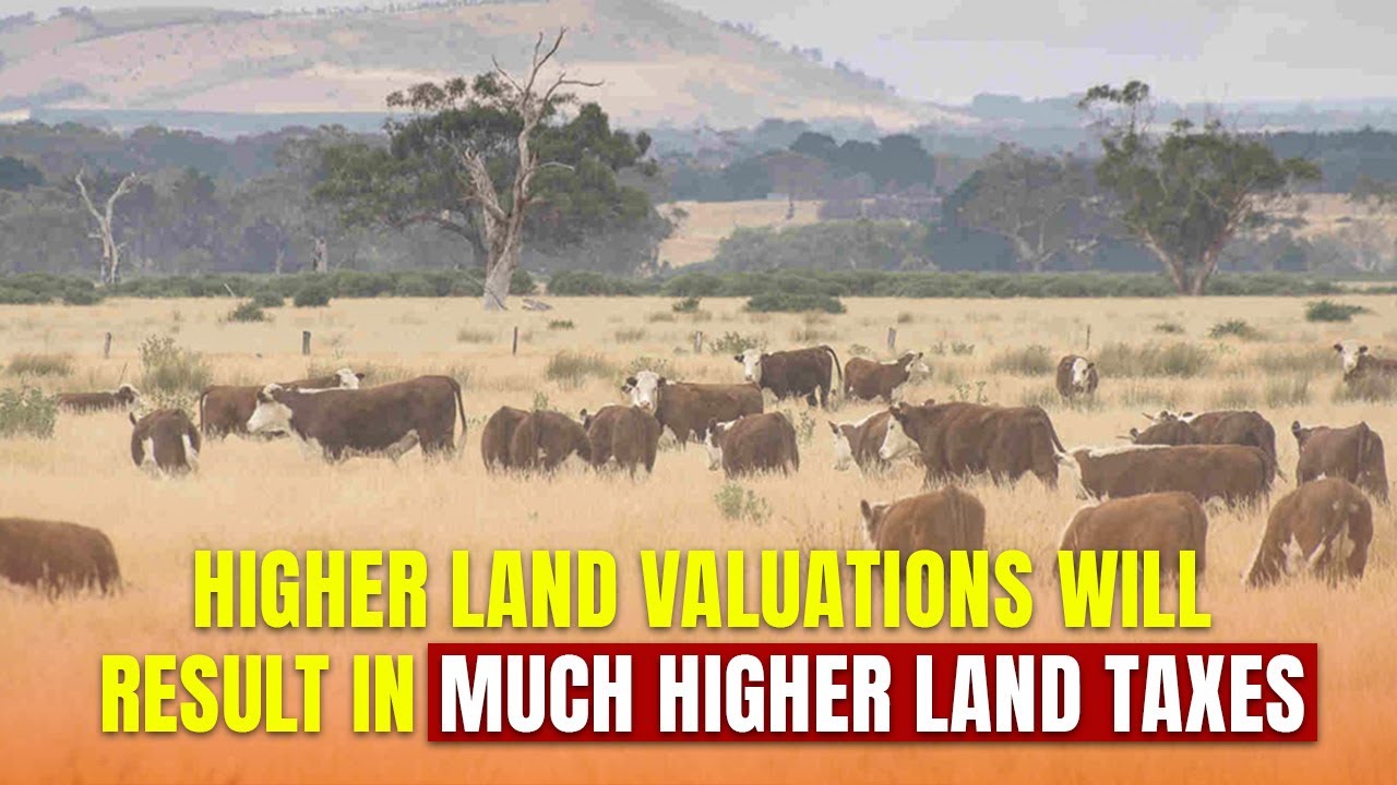 Higher land valuations will result in much higher land taxes - YouTube