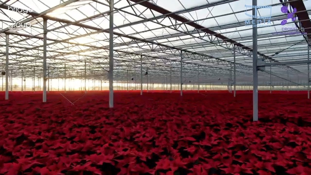 Bridge Farm Group Promotional Film, Lincolnshire - YouTube