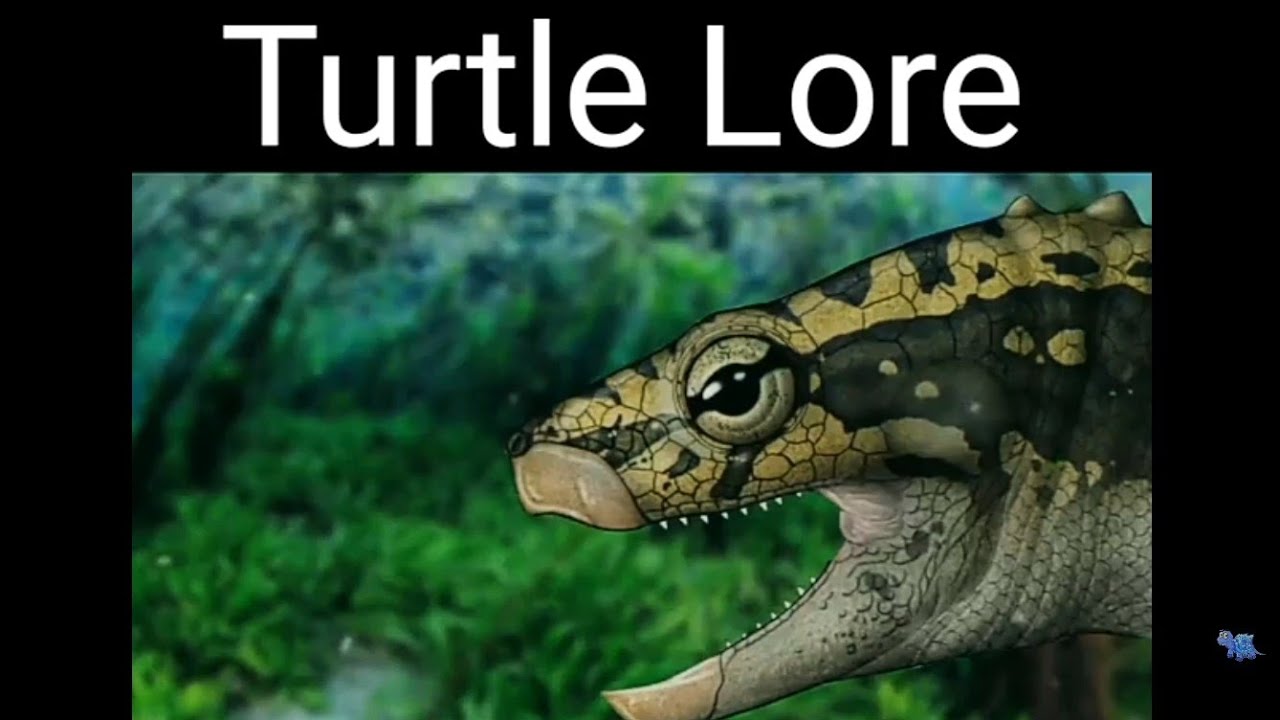 Turtle lore - YouTube
