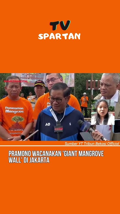 Pramono Wacanakan 'Giant Mangrove Wall' di Jakarta - YouTube