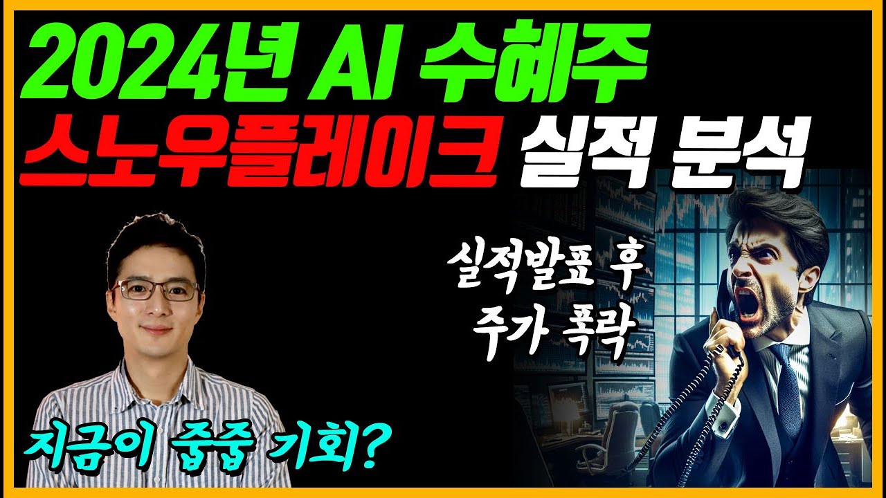 2024년 Ai수혜주 스노우플레이크 실적 분석 스노우플레이크도 실적 발표 전 주가 하락을 예측할 수 있었던 이유와 최근 실적