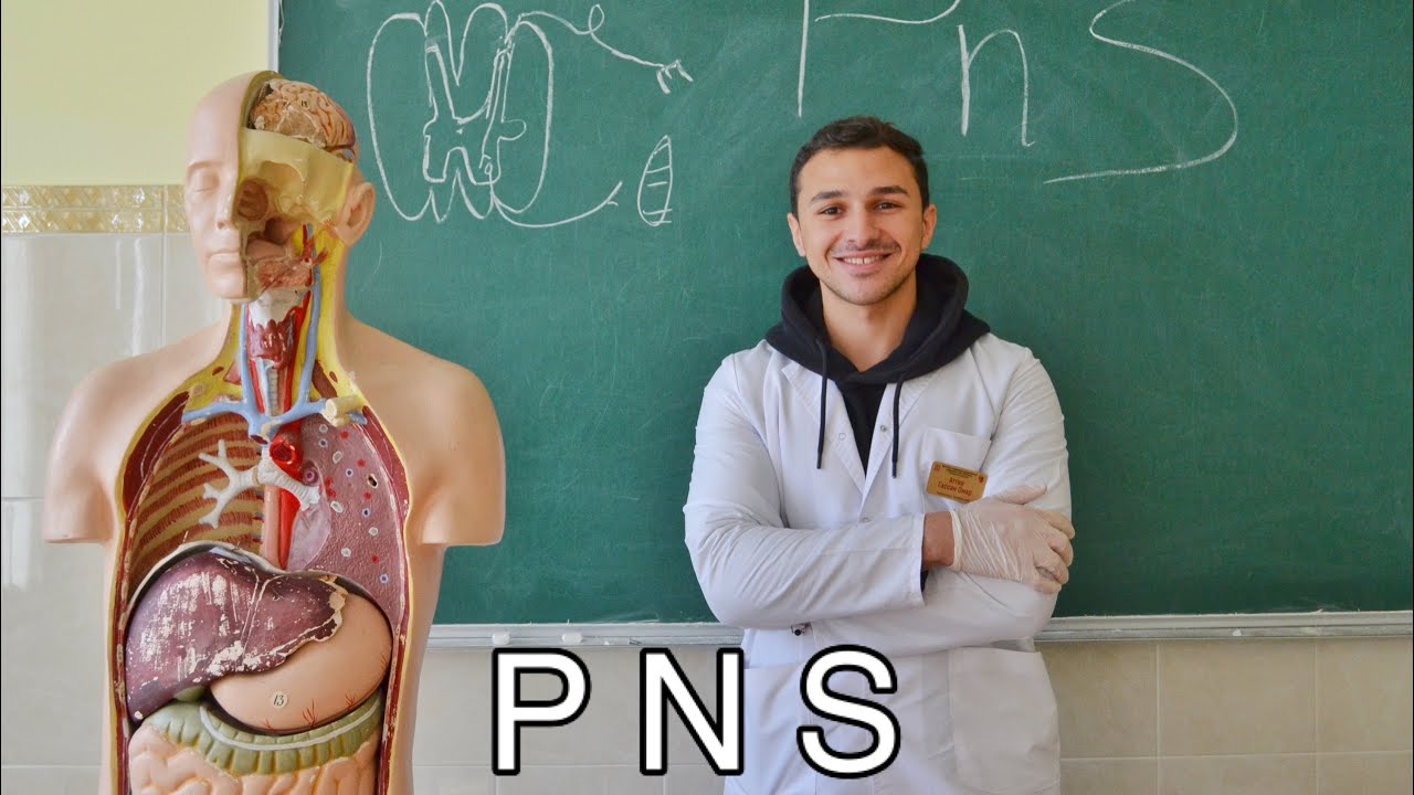 PNS -1 - YouTube