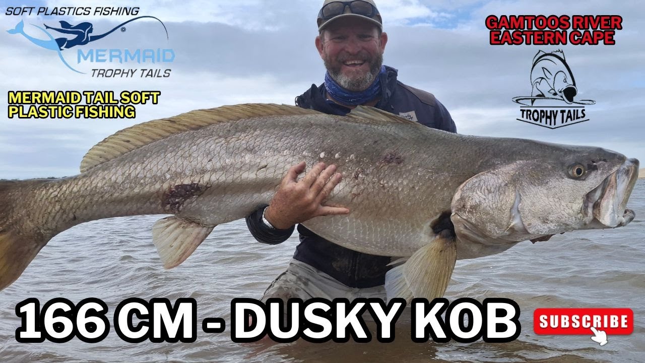 50kg -166cm Dusky Kob on a 3/8oz Bucktail! - YouTube