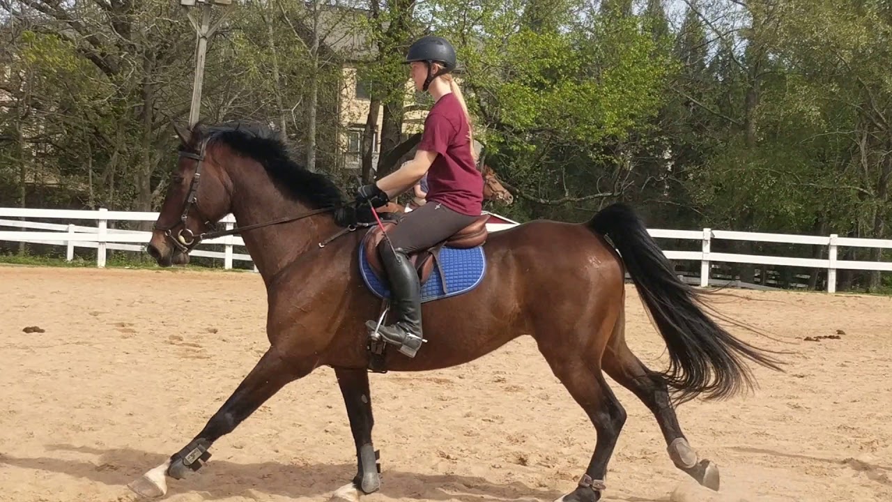 Emma and Commander - YouTube