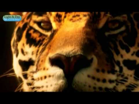 C.L.P. & Denjan : Light and Day