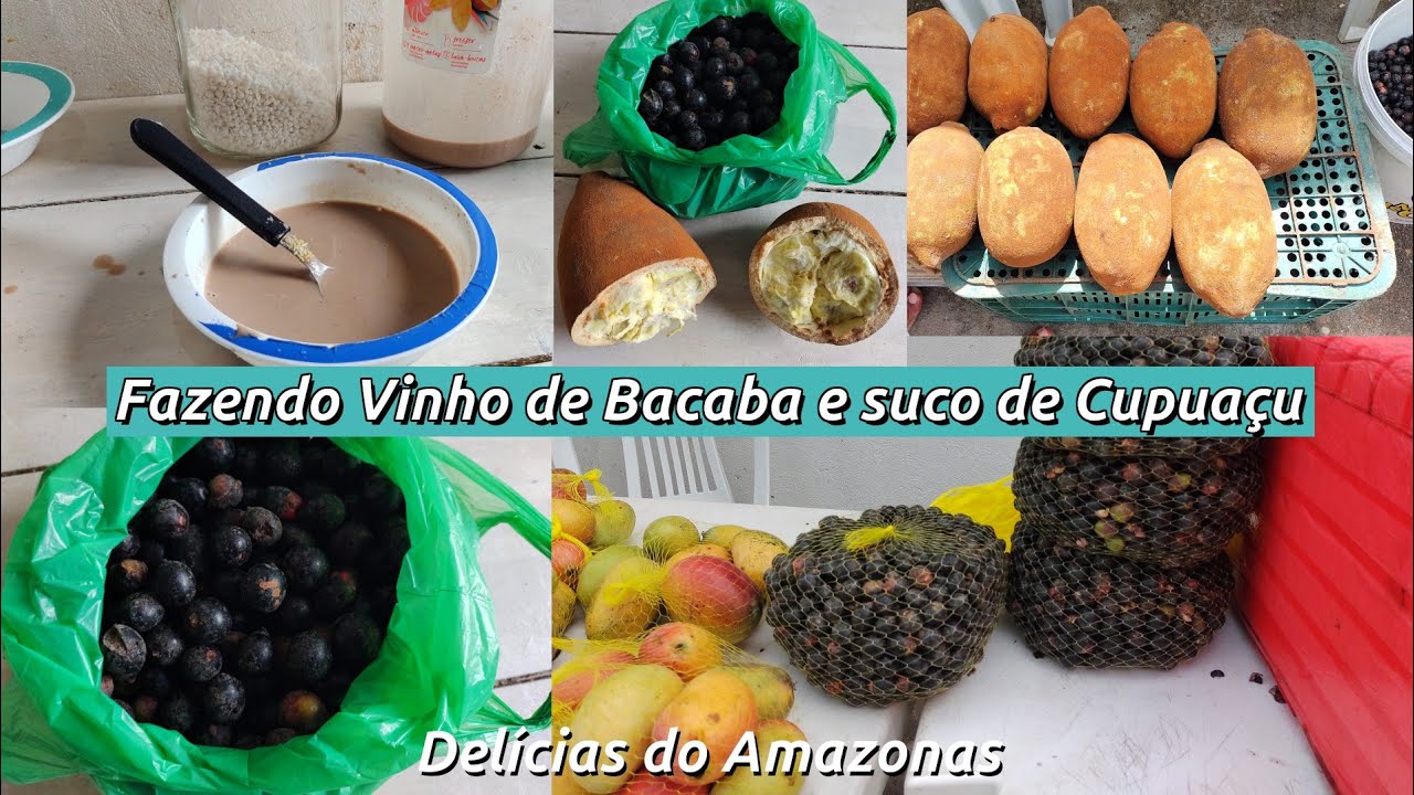 FAZENDO VINHO DE BACABA E SUCO DE CUPUAÇU| VIDA REAL NO AMAZONAS - YouTube