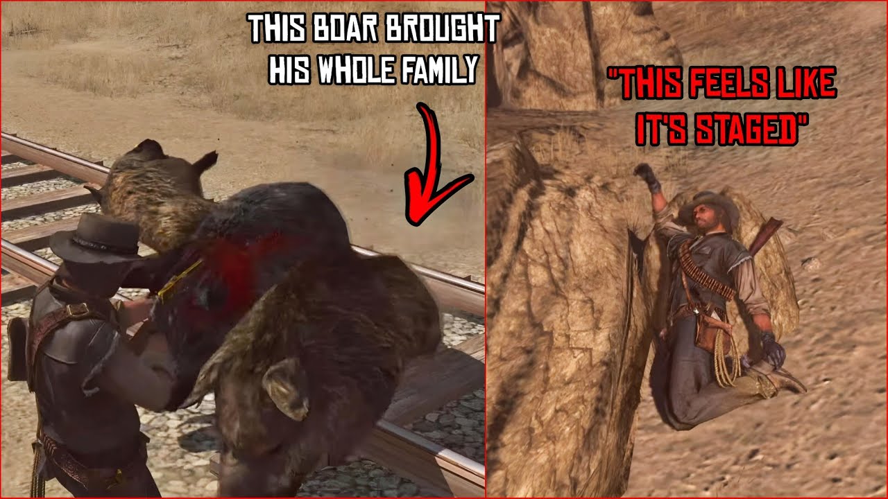 The Wildlife in Rdr1 is so Smart and knows teamwork | Rdr1 - YouTube