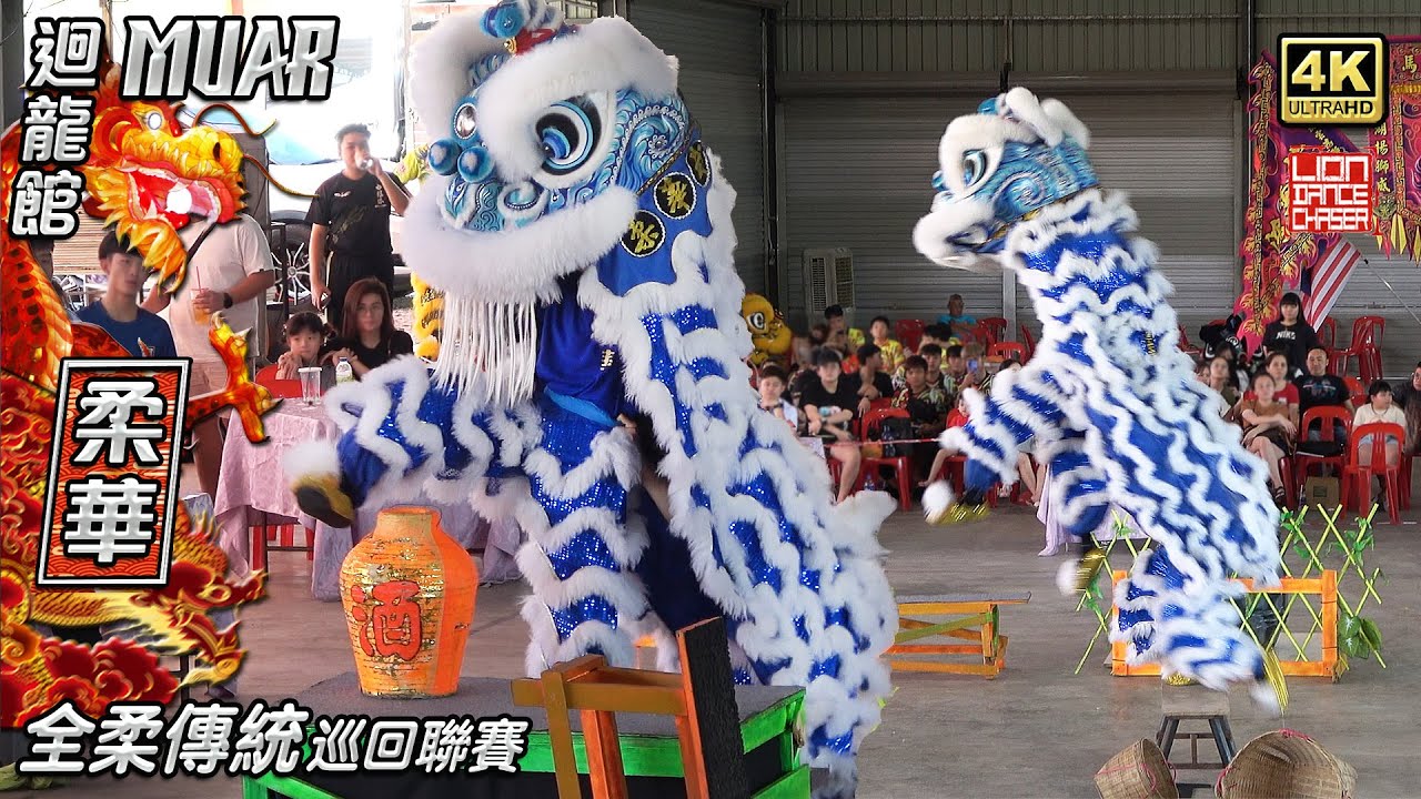 Lion Dance by Rou Hua 柔华 - Johor Traditional Lion Dance League @ Hwee ...