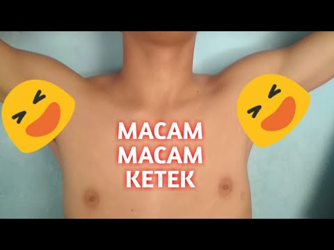 MACAM MACAM KETEK
