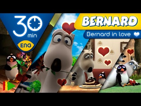 Bernard Bear | Bernard in love | 30 minutes