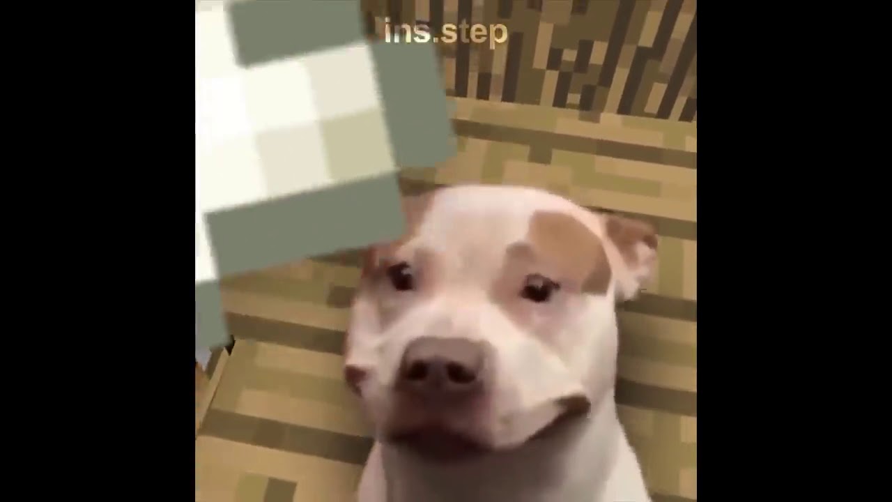 UNUSUAL MEMES COMPILATION 36 - YouTube