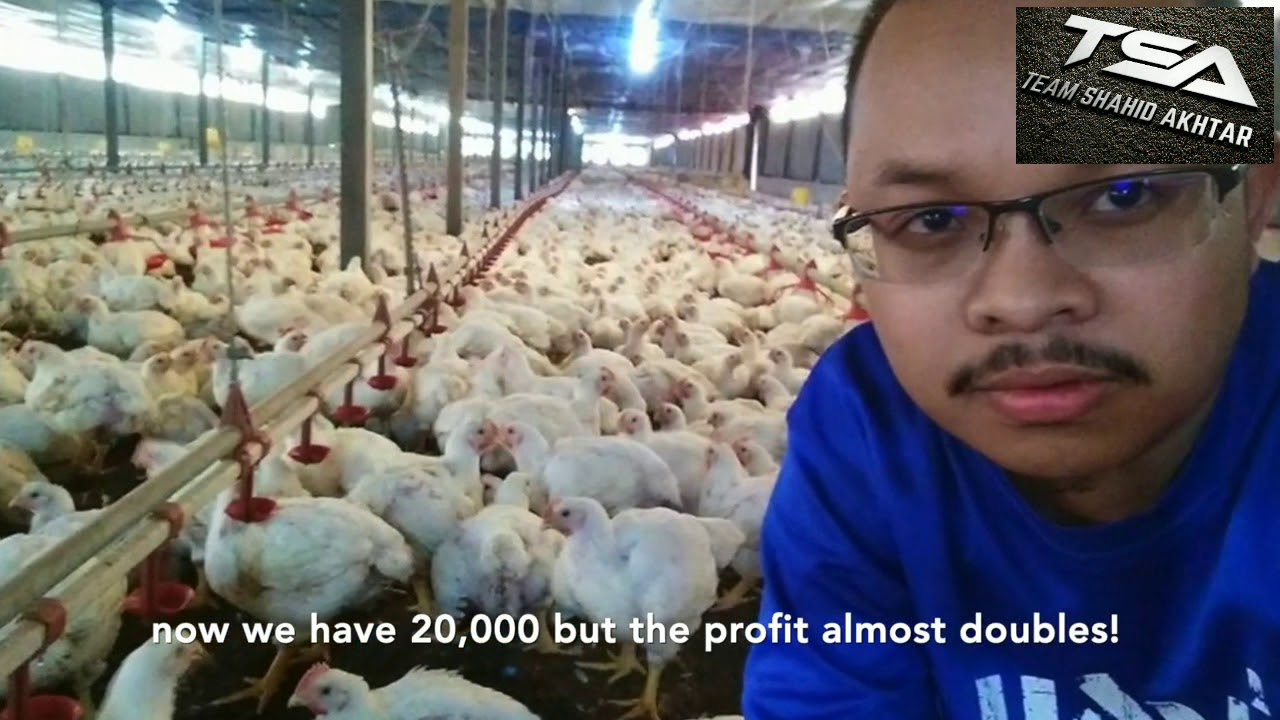 Kangen on Poultry Farm in Malaysia: With English Subtitles - YouTube