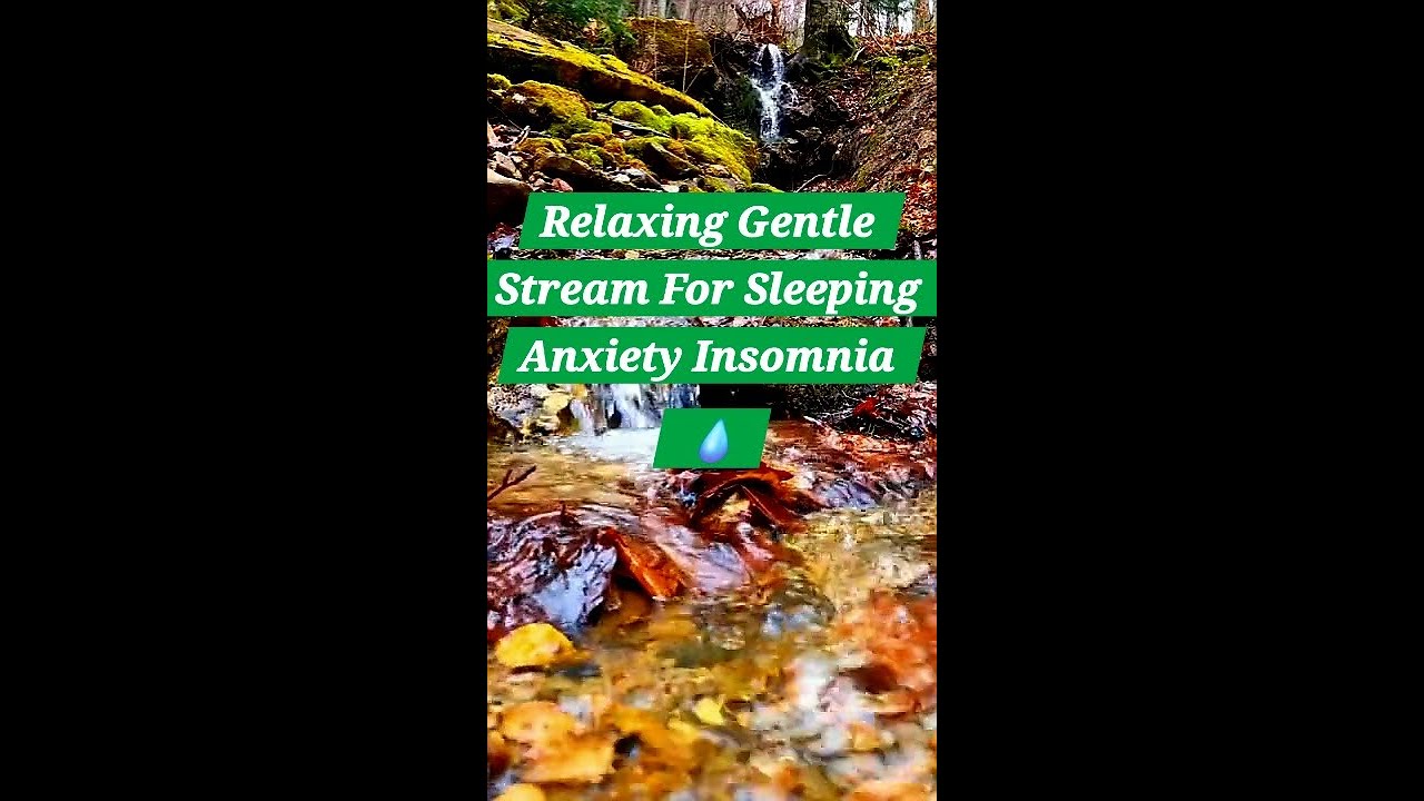 Meditation Stream | Crystal‑Clear Water Flow for Focus, Deep Sleep ...