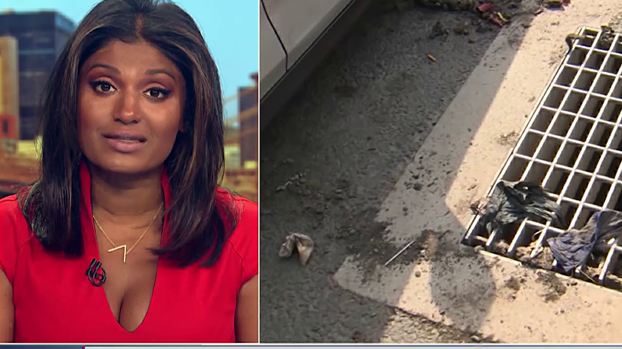 Kala Rama & Jill Nicolini (6-10-19) - YouTube