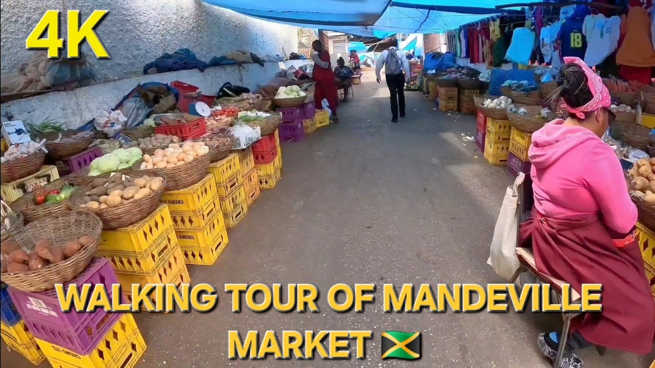 Walking Tour of Mandeville Market | Experience the Real Jamaica with ...
