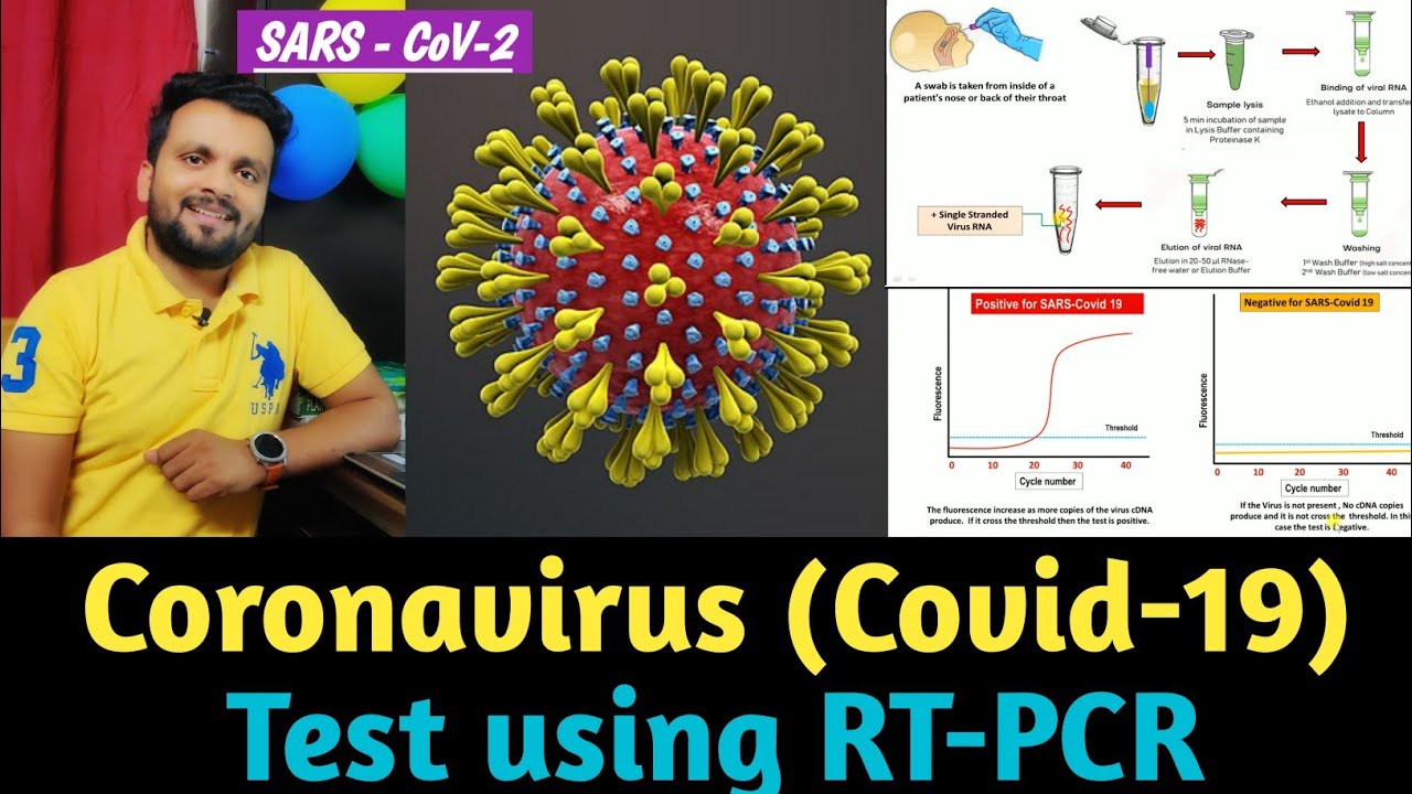 RT-PCR test for Corona Virus - Principle and Methods! - YouTube