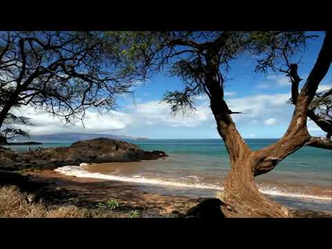 Gideceksen her şeyinle git - İbrahim SADRİ