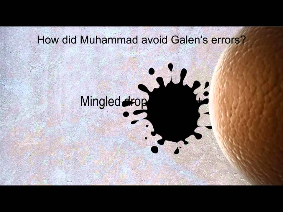 Embryology in the Quran (by The Rationalizer) - YouTube