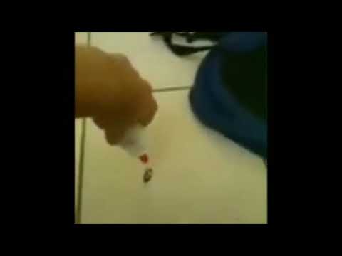 Glue on Roach, Bro. - YouTube