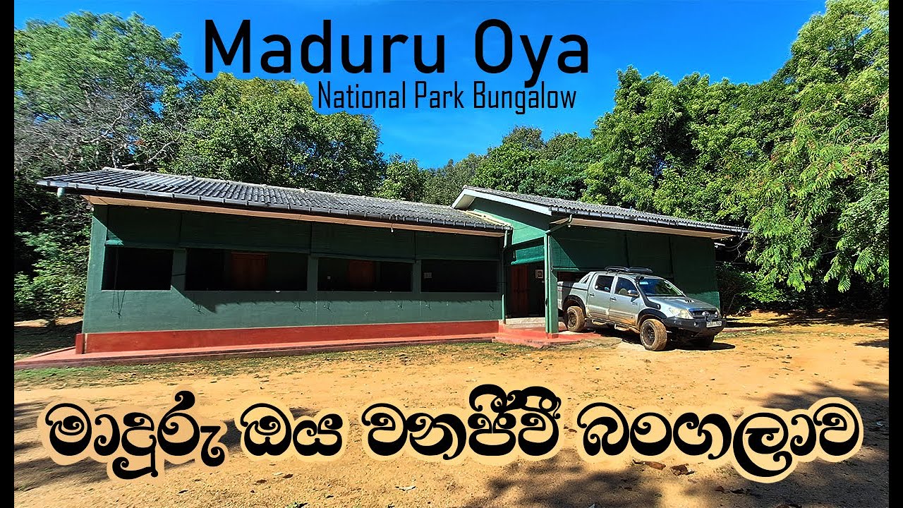 Maduru Oya Circuit Bungalow | මාදුරු ඔය බංගලාව | Maduru Oya National ...