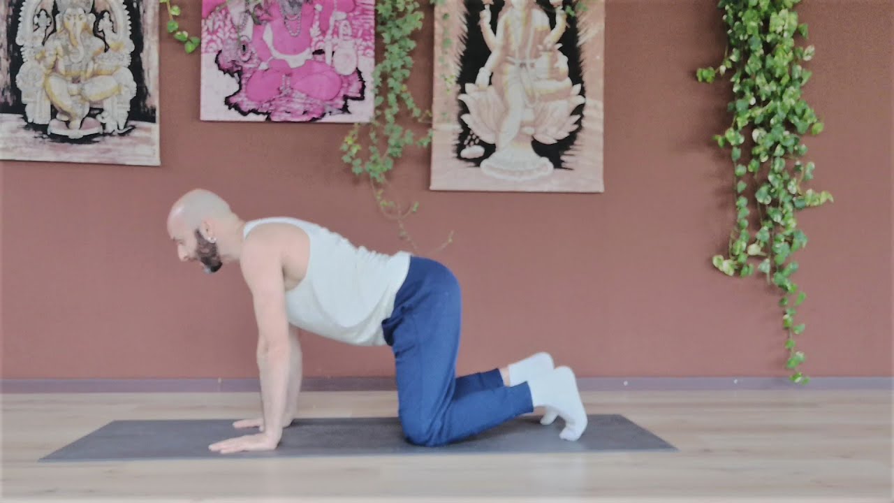#84 Asana - Gatto/Mucca - Marjaryasana/Bitilasana - YouTube