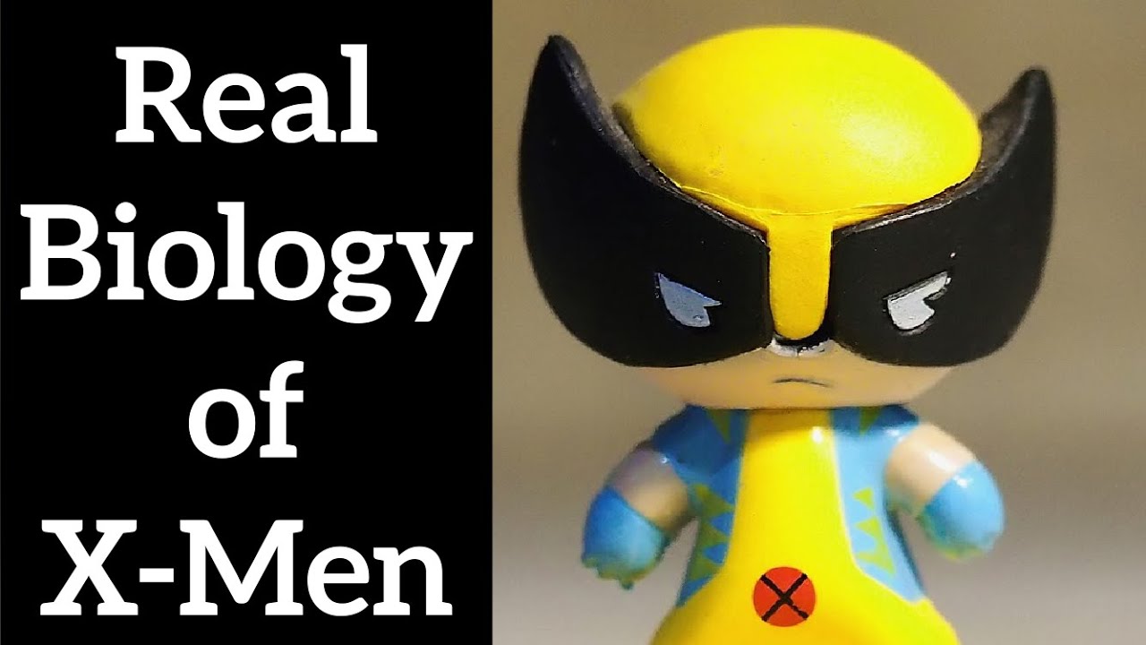 X-Men Genetics - Learning Real Biology From Movies - YouTube