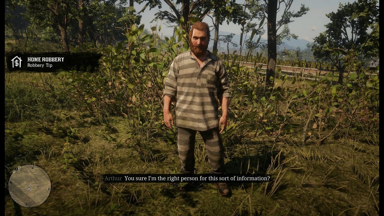 Home Robbery: Chez Porter. Investigate the homestead. Red Dead ...